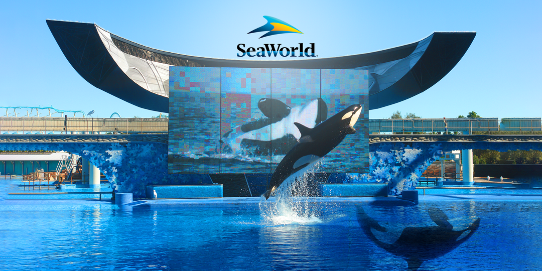 Parques de SeaWorld – Sun Tours Orlando